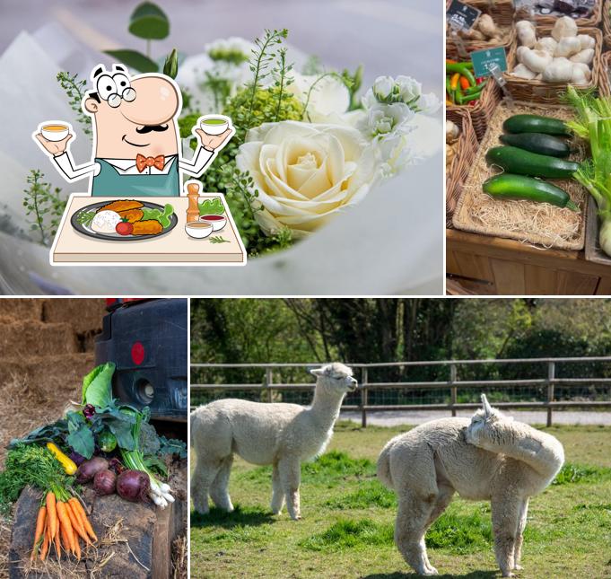 White Row Farm, Frome - Restaurant menu, prices and reviews