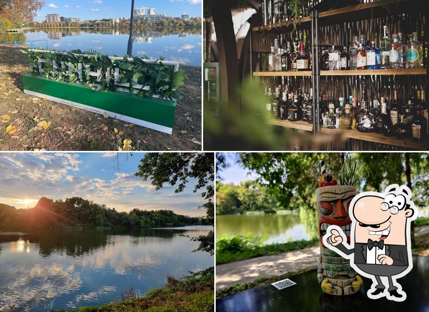 Guava, Bucharest, Aviatorilor - Restaurant menu, prices and reviews