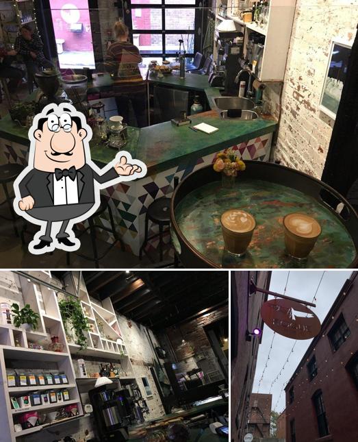 Rogue Coffee, Saint John - Restaurant menu, prices and reviews