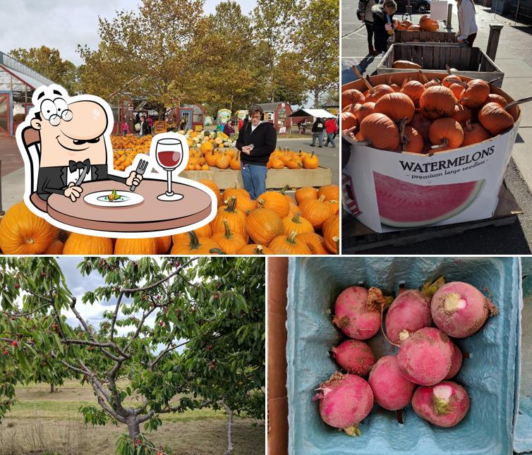 Johnson's Corner Farm, Medford - Restaurant menu, prices and reviews