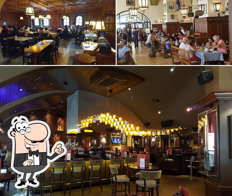 Haxnbauer, Munich - Restaurant menu, prices and reviews