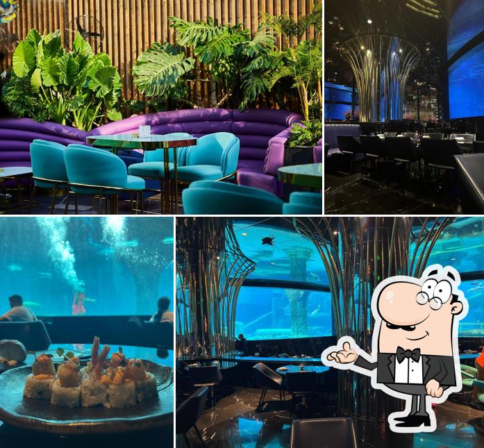 NEMO Restaurant & Lounge - Restaurant menu, prices and reviews