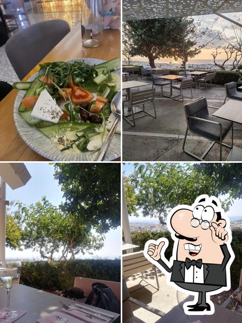 Muse, Paphos - Restaurant menu, prices and reviews