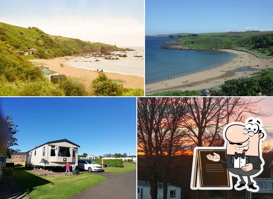 Top 5 restaurants with pizza in Coldingham, september 2025 - Restaurant ...