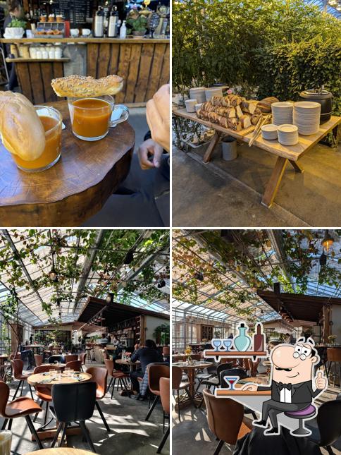 Friðheimar, Reykholt - Restaurant menu, prices and reviews