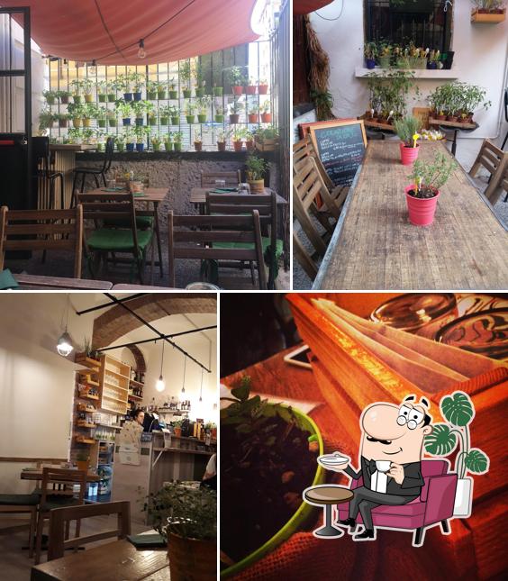 Orto – Erbe e Cucina, Milan - Restaurant menu, prices and reviews