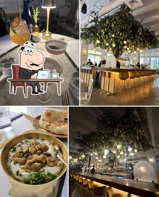 Motek Coral Gables, Miami - Restaurant menu, prices and reviews