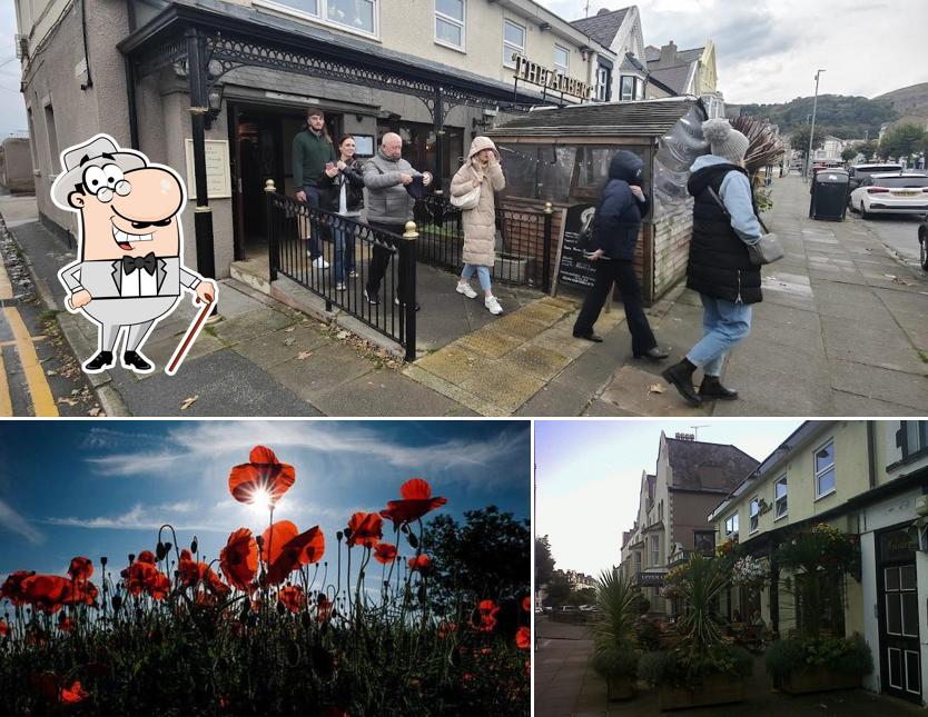 The Albert, Llandudno - Restaurant menu, prices and reviews