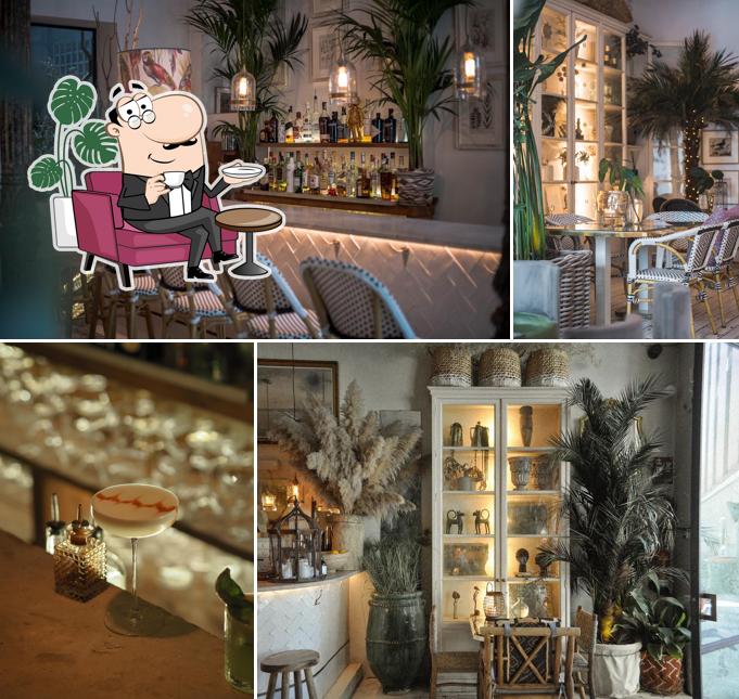 Ficus Bar, Madrid - Restaurant menu, prices and reviews