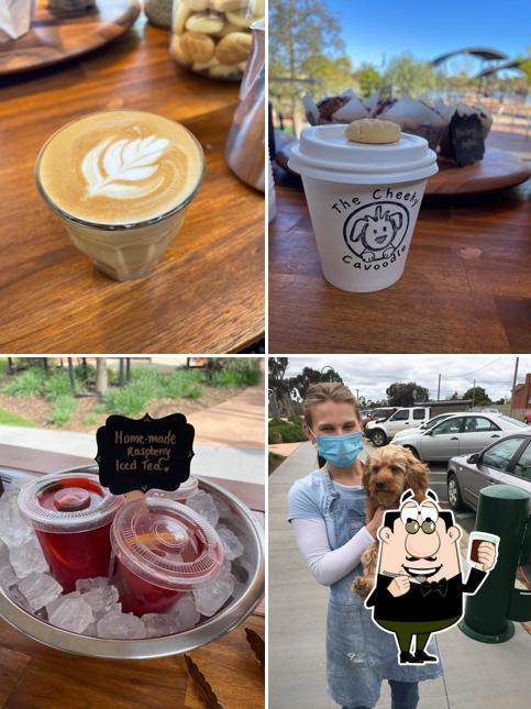 The Cheeky Cavoodle, Eaglehawk - Restaurant menu, prices and reviews