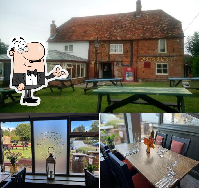 The Old Red Lion, Dunstable - Restaurant menu, prices and reviews