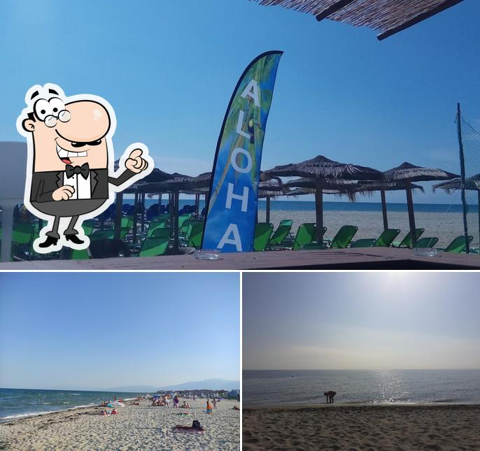 ALOHA BEACH BAR, Paralia - Restaurant menu, prices and reviews