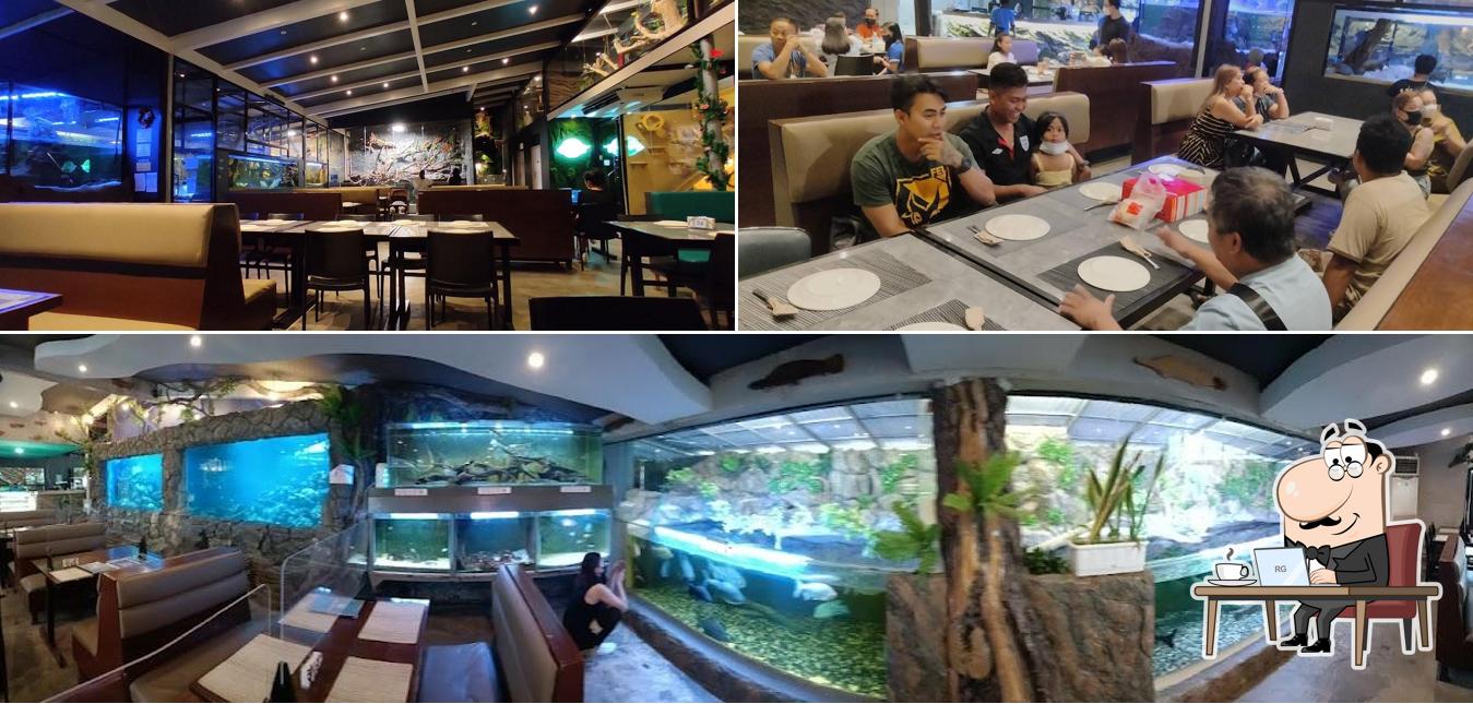 Aquarium Cafe, Iloilo City - Restaurant menu, prices and reviews