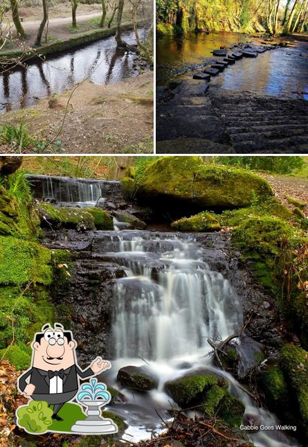 Rivelin Park Cafe, Sheffield - Restaurant menu, prices and reviews