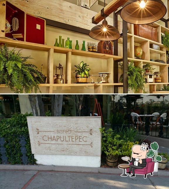 Bistró Chapultepec, Mexico City - Restaurant menu, prices and reviews