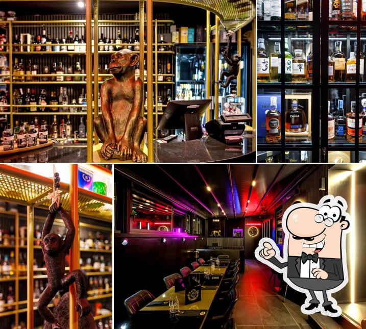 ANGRY MONKEY BAR, Rome, Bologna - Restaurant menu, prices and reviews