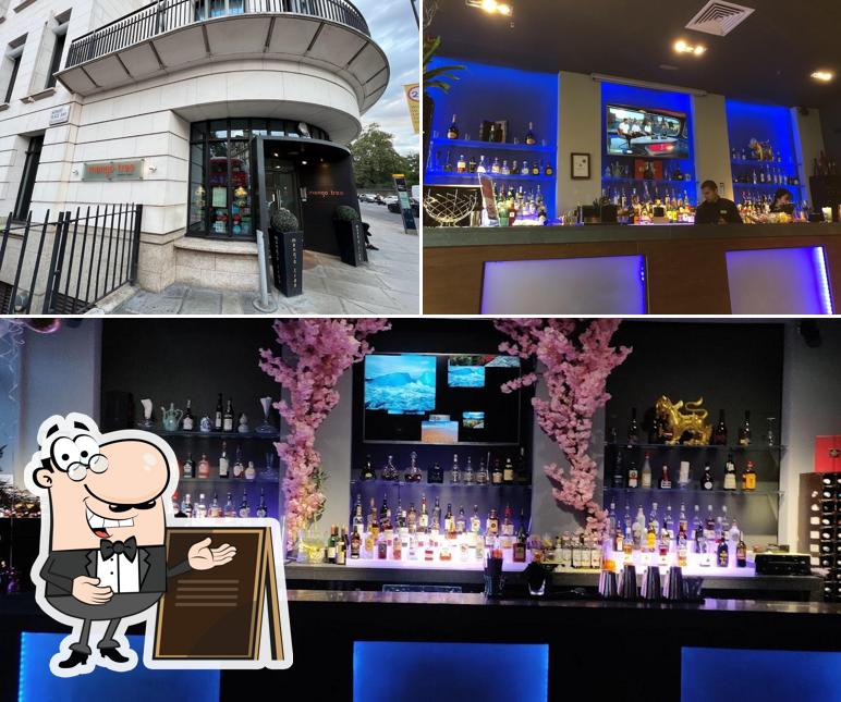 Mango Tree, London - Restaurant menu, prices and reviews