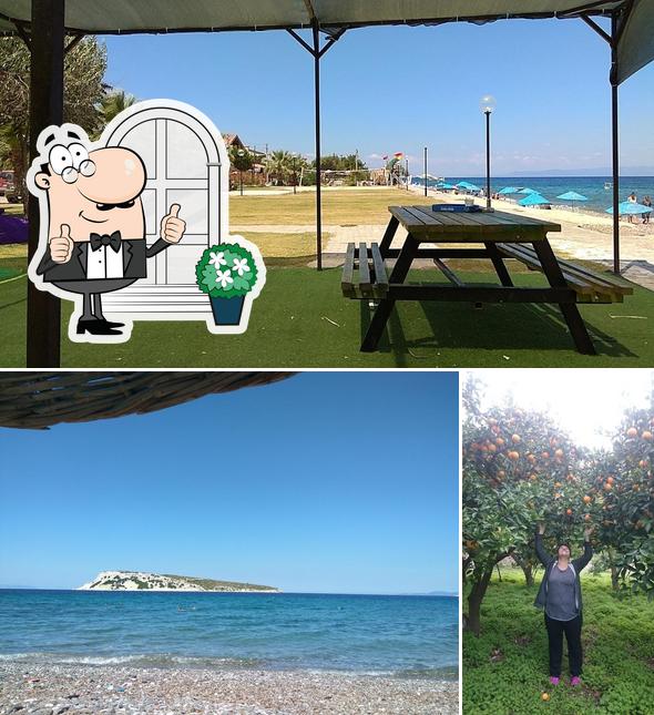Cafe Mimas, Karaburun - Restaurant menu, prices and reviews