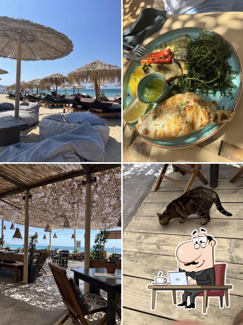 Tohu beach bar restaurant, Maragkas - Restaurant menu, prices and reviews