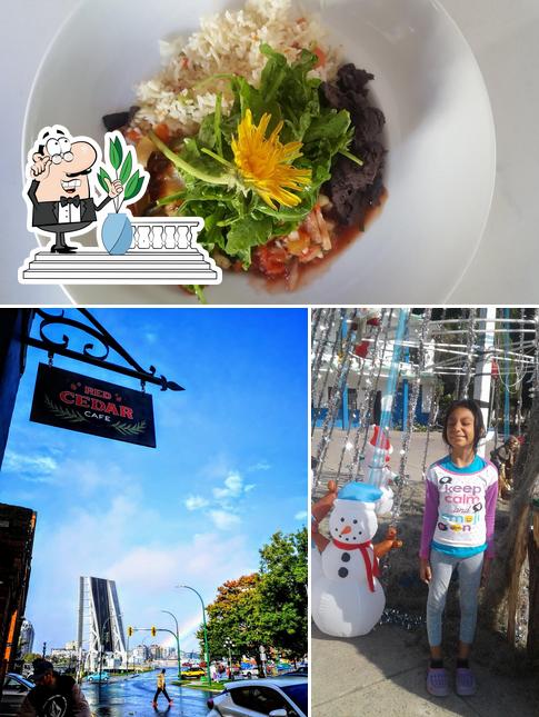 Red Cedar Cafe, Victoria - Restaurant menu, prices and reviews