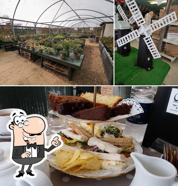 The Chestnuts Tea rooms & Garden Centre, Holbeach - Restaurant menu ...