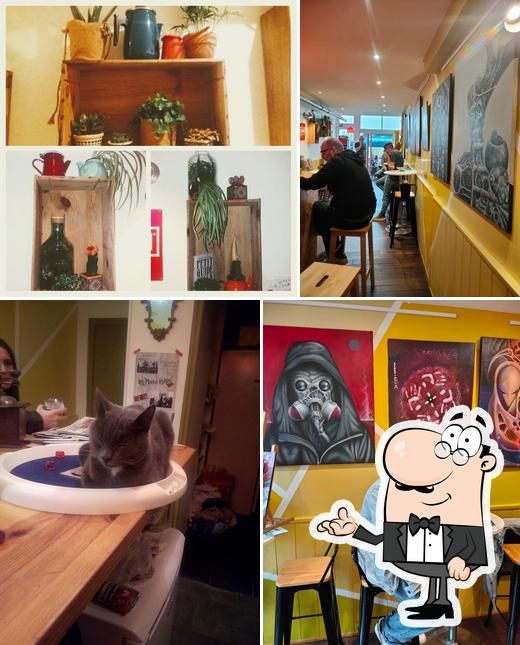 Le Bouillon, Boulogne-sur-Mer - Restaurant menu, prices and reviews