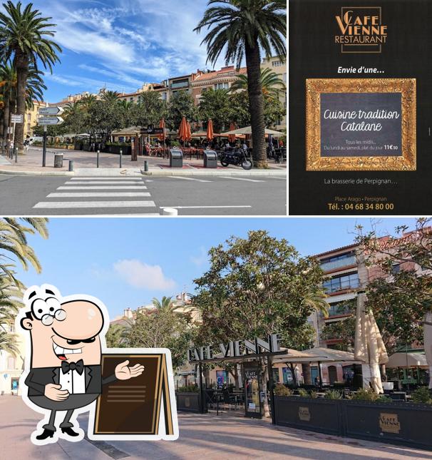 Café Vienne, Perpignan - Menu du restaurant, prix et avis