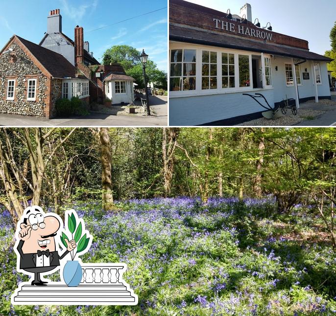 The Harrow Inn, Warlingham - Restaurant menu, prices and reviews