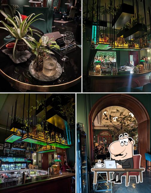 Mirror Bar, Bratislava - Restaurant menu, prices and reviews