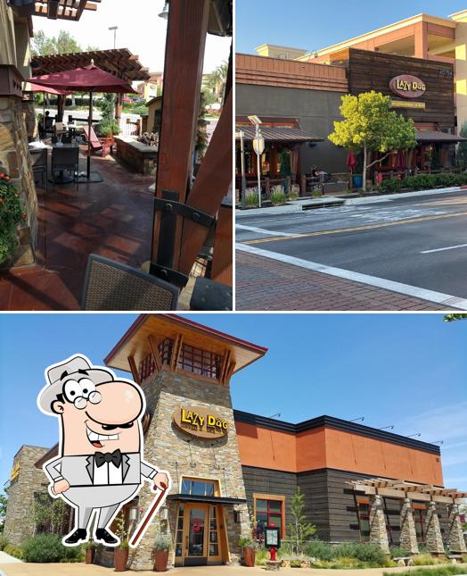 Lazy Dog Restaurant & Bar, Temecula - Restaurant menu, prices and reviews