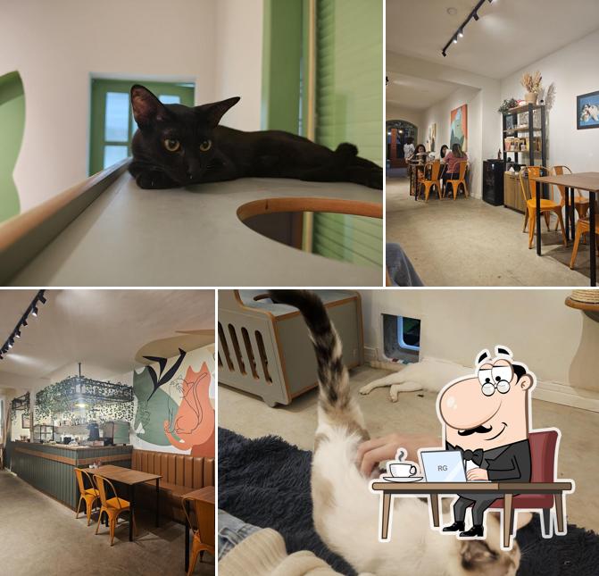 Prefiro Gato - Café & RonRon, Vila Velha - Restaurant menu, prices and ...