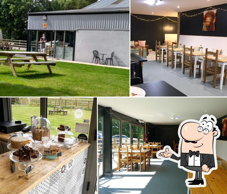 The Ginger Cow Company, Hayton - Restaurant menu, prices and reviews