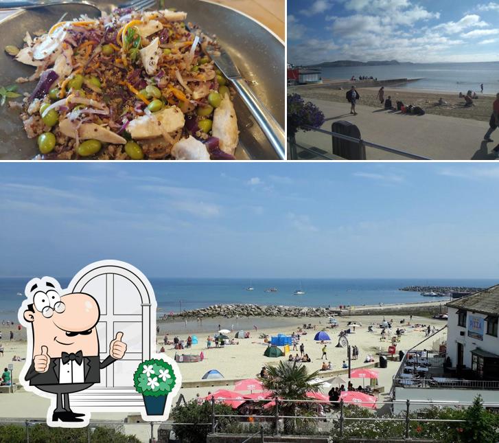 Swim, Lyme Regis - Restaurant menu, prices and reviews