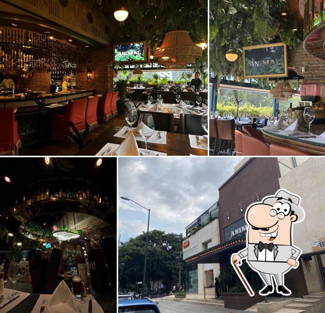 Animal Masaryk, Mexico City - Restaurant menu, prices and reviews