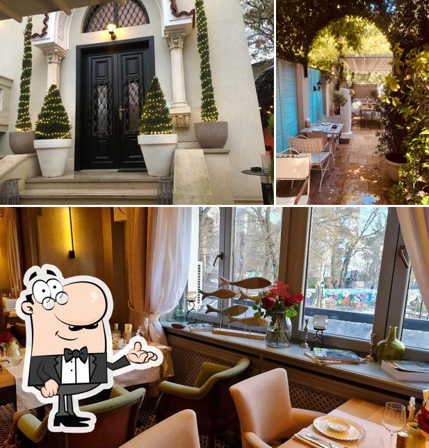 Poesia, Bucharest, Aviatorilor - Restaurant menu, prices and reviews