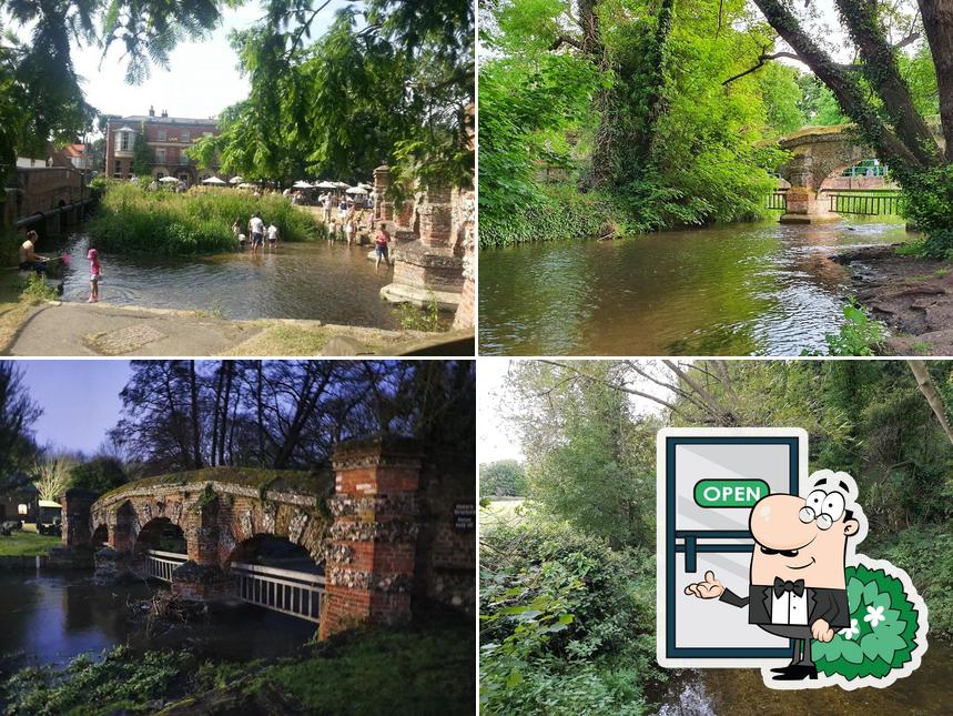 The Lion, Farningham - Restaurant menu, prices and reviews