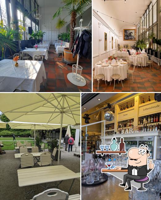 Schlosscafé im Palmenhaus, Munich - Restaurant menu, prices and reviews
