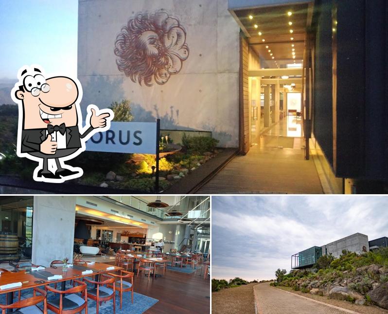 Chorus Restaurant, Sir Lowry's Pass - Restaurant menu, prices and reviews