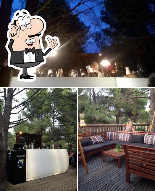 Carry Nation - Dans Les Arbres, Aubagne - Menu du restaurant, prix et avis