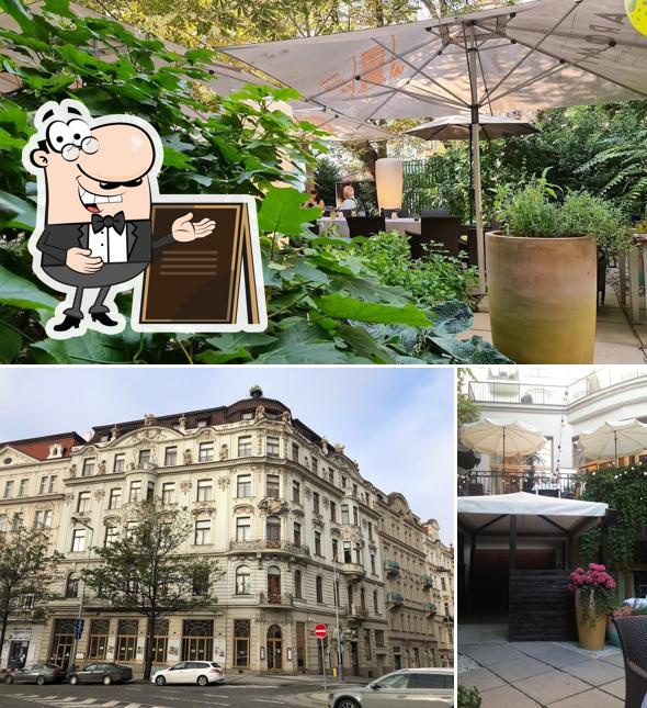 Aromi, Prague, Náměstí Míru - Restaurant menu, prices and reviews