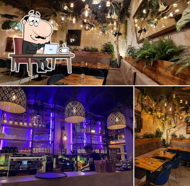 Mundo, Bordeaux - Menu du restaurant, prix et avis
