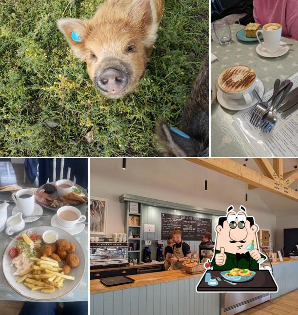 Dalmore Farm Shop & Restaurant, Alness - Restaurant menu, prices and ...