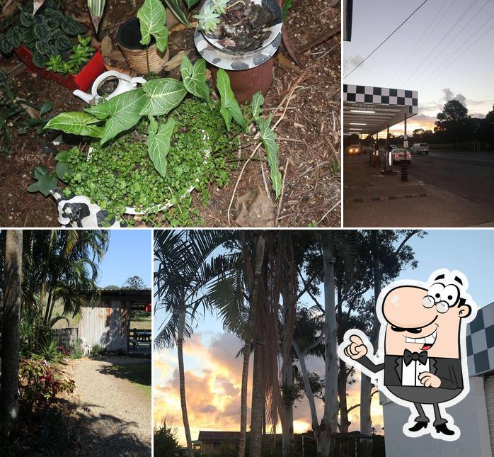 Moo Moo Roadhouse, Mooball - Restaurant menu, prices and reviews