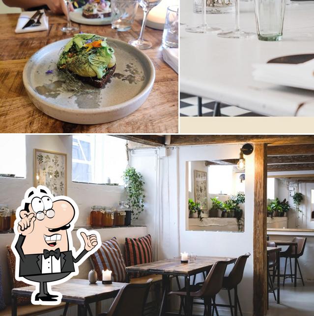 Norrlyst, Copenhagen - Restaurant menu, prices and reviews