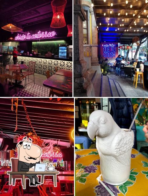 Cotorritos Cibeles, Mexico City - Restaurant menu, prices and reviews