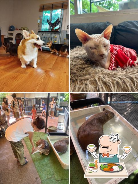 Little Zoo Garden, Bangkok - Restaurant menu, prices and reviews