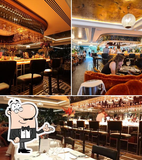The Ivy Chichester, Chichester - Restaurant menu, prices and reviews