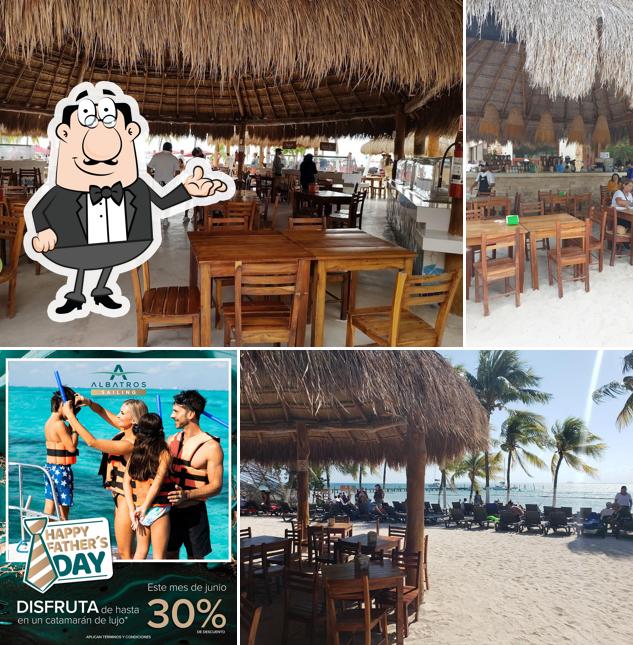 Albatros Beach Club Restaurant & Bar, Isla Mujeres - Restaurant menu ...