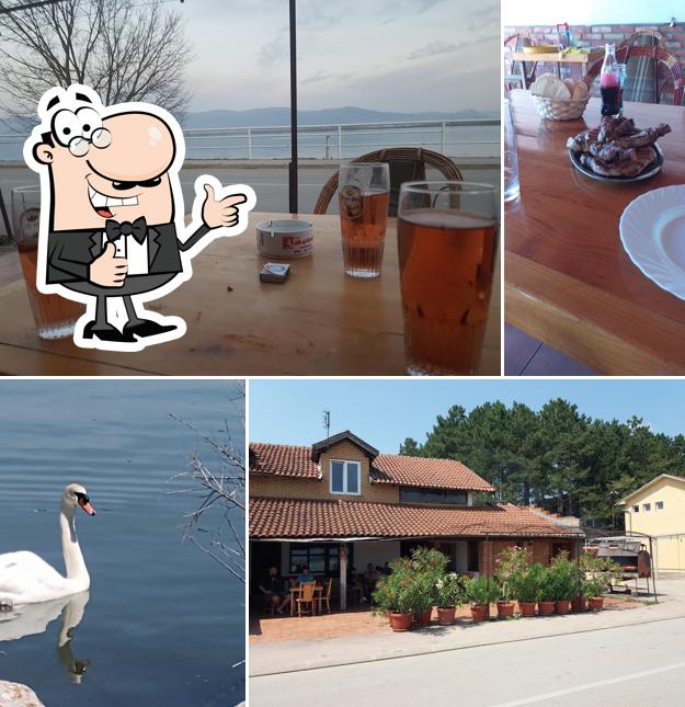Top 4 restaurants for dinner in Vinci, january 2026 - Restaurant Guru