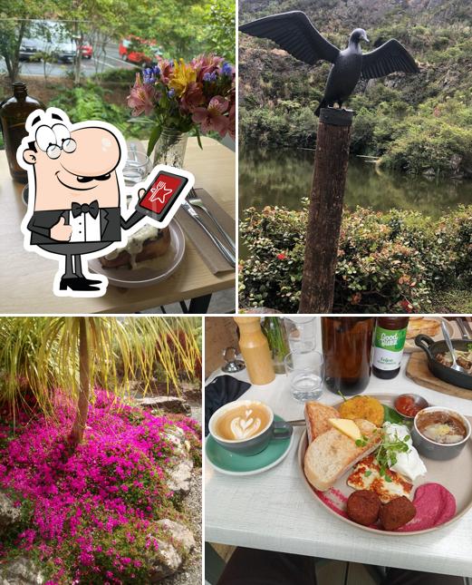 Quail Cafe, Whangarei - Restaurant menu, prices and reviews